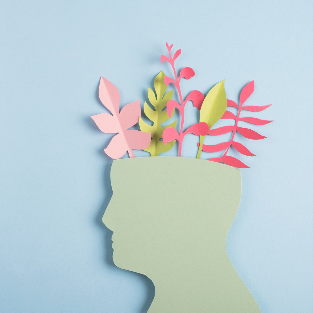 The Mammalian Dive Reflex – A Natural Tool for Anxiety – Soul Space