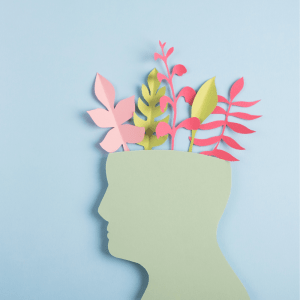 The Mammalian Dive Reflex – A Natural Tool for Anxiety – Soul Space