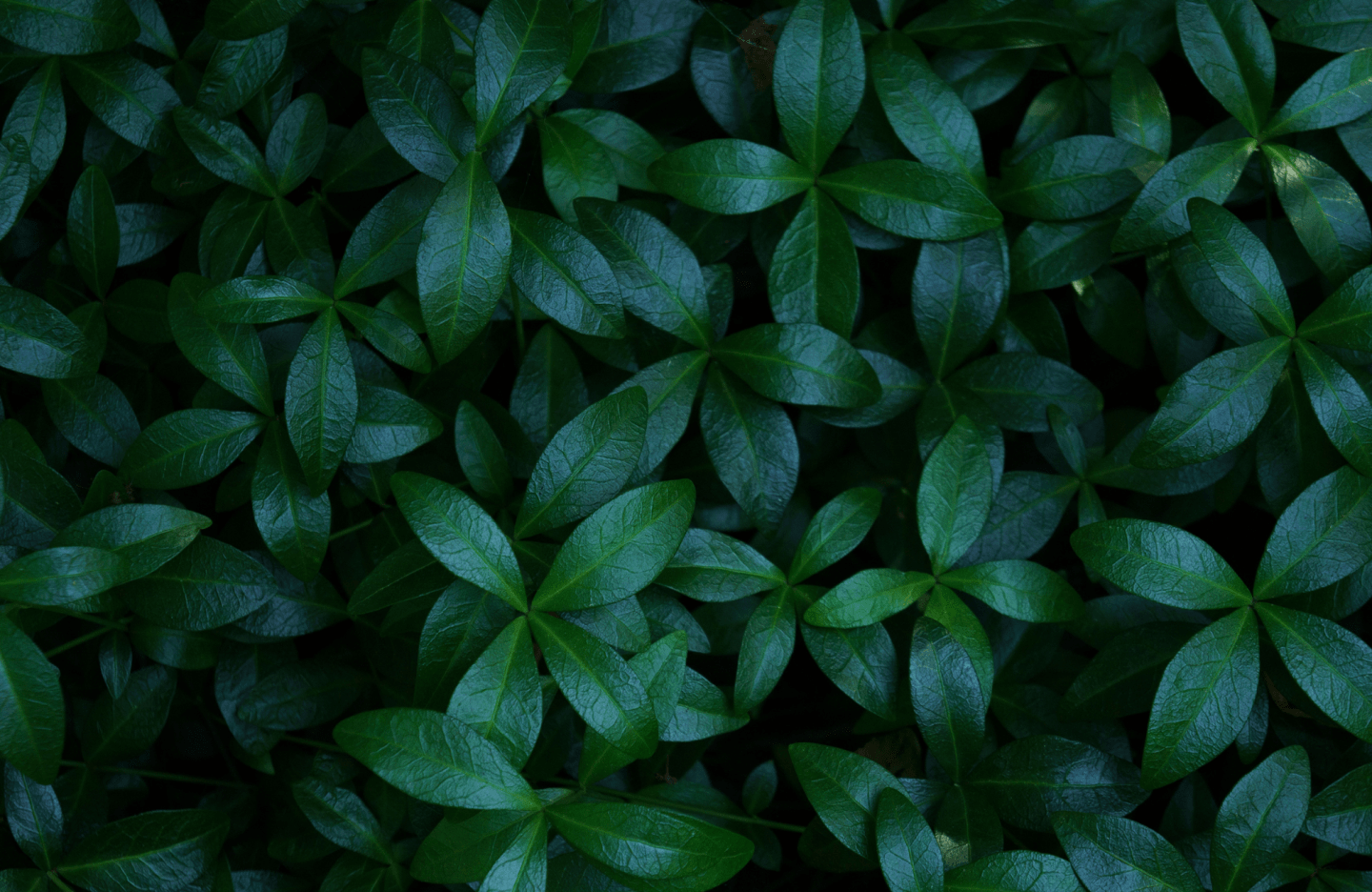 Identifying Your Paradigm – Uncover the Belief Systems That Shape Your ...