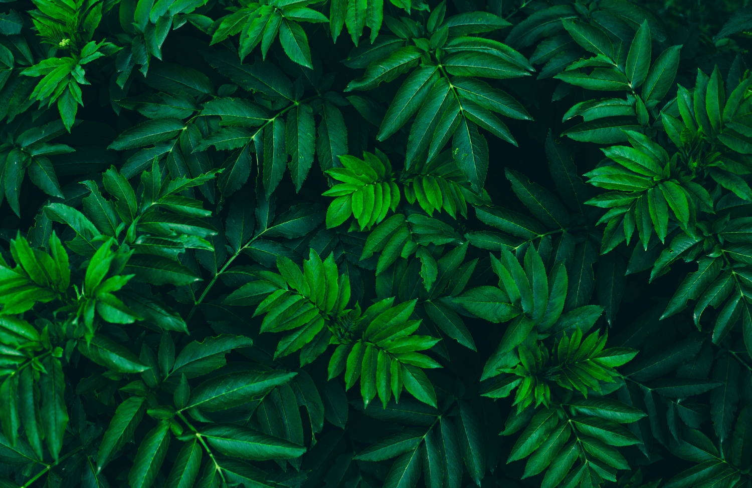 Understanding Generational Trauma – How It’s Passed Down and How to ...