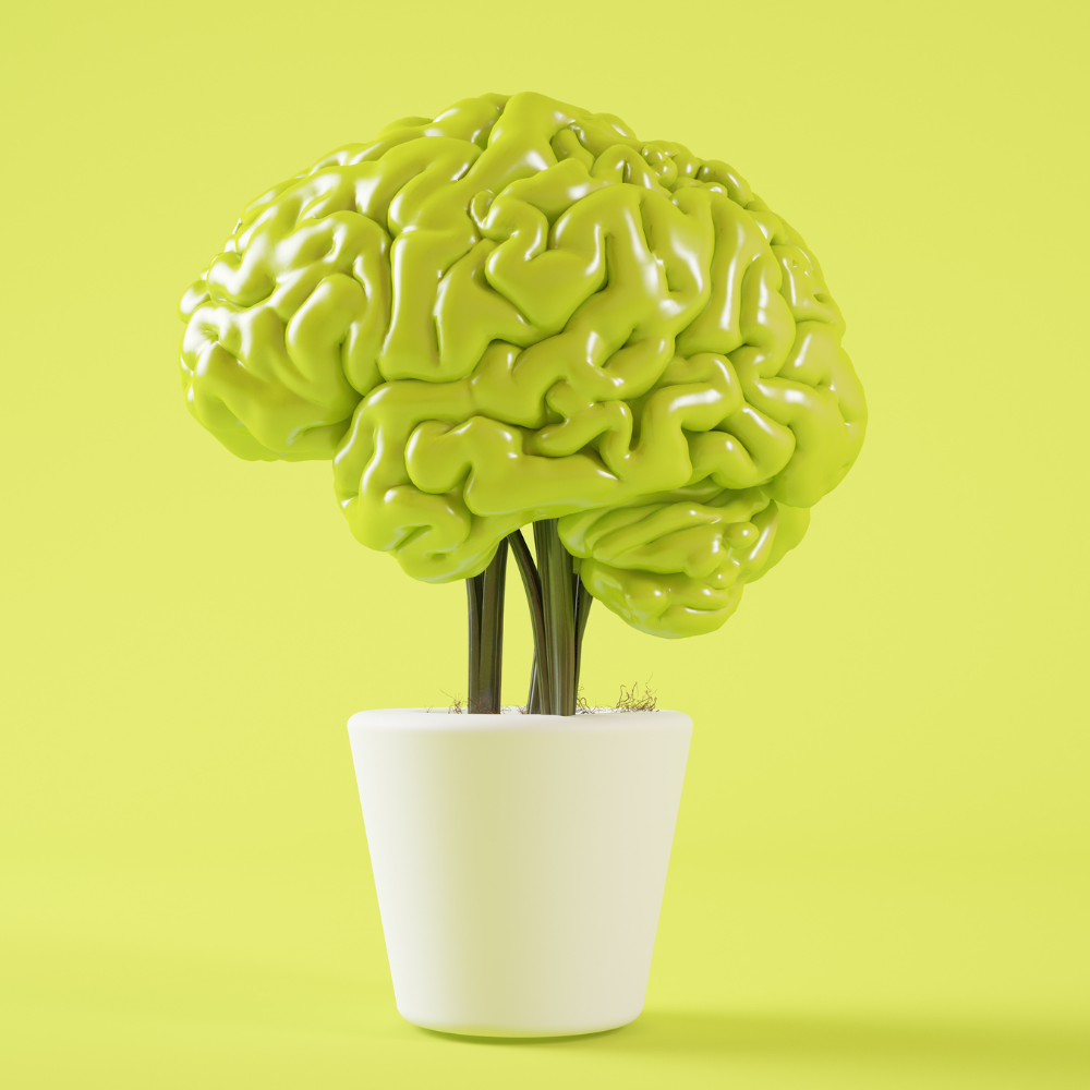 Growth Mindset vs Fixed Mindset – Which Are You? – Soul Space