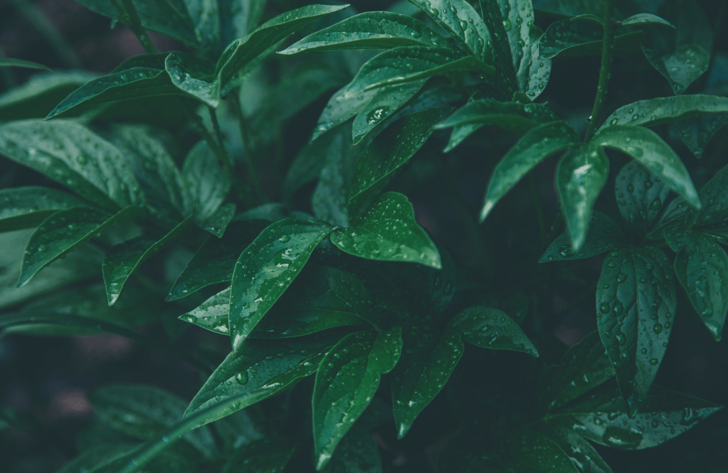 Understanding Generational Trauma – How It’s Passed Down and How to ...