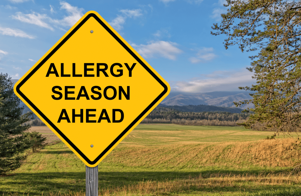 Why Allergies Might Be Causing Your Dark Under-Eye Circles – Soul Space