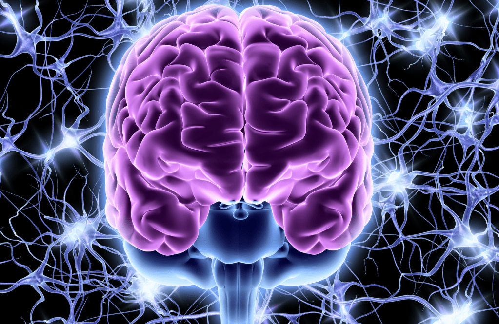 The Mammalian Dive Reflex – A Natural Tool for Anxiety – Soul Space