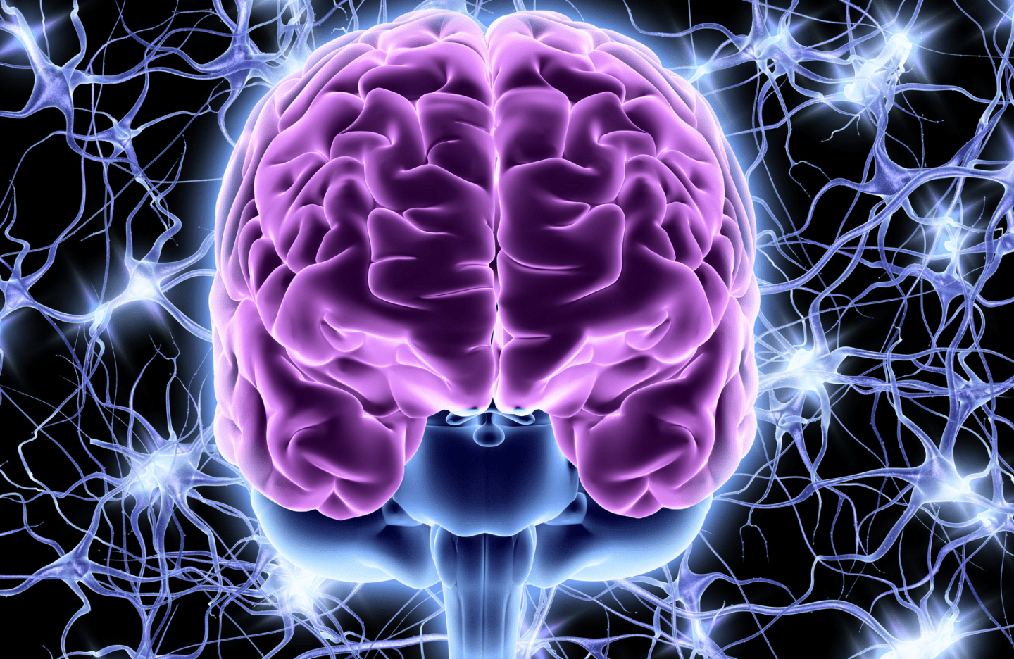 The Mammalian Dive Reflex – A Natural Tool for Anxiety – Soul Space