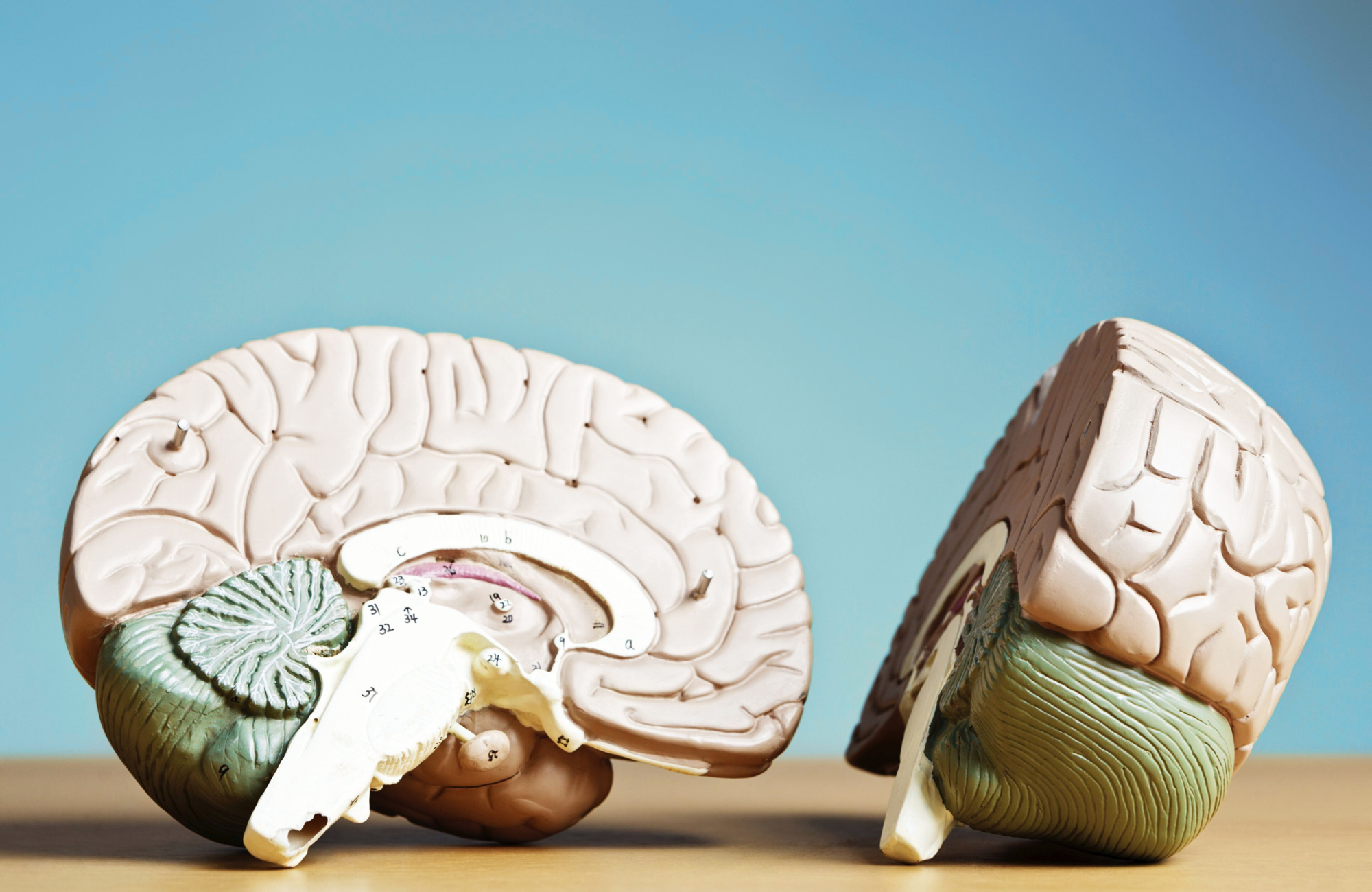 Brain Fog After Exercising – Here’s the Science Behind Why This Happens ...